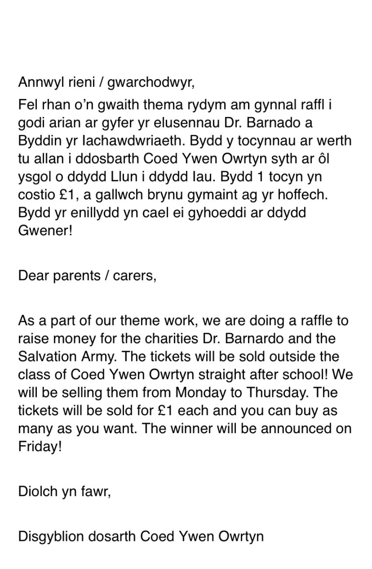 Menter Blwyddyn 5 a 6/ Year 5 and 6 Enterprise - Ysgol Plas Coch
